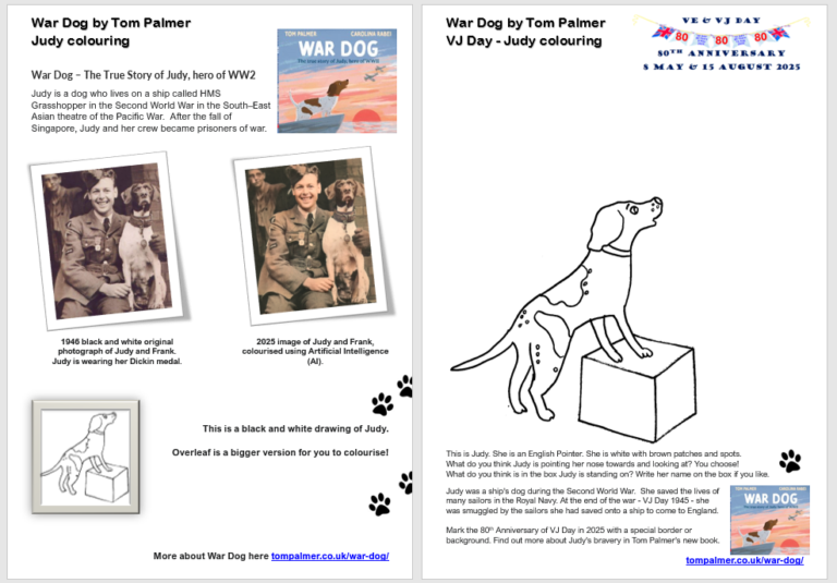War Dog | Tom Palmer